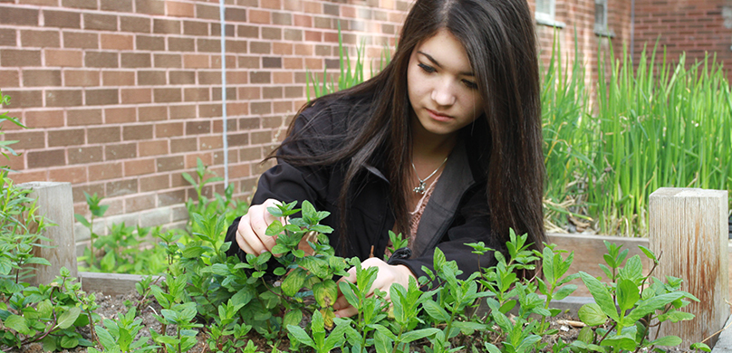 Natural Resources (NAT) - Forest Lawn High School